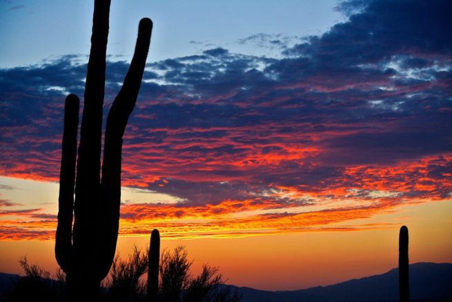 Private Jet Charter Yuma | Arizona